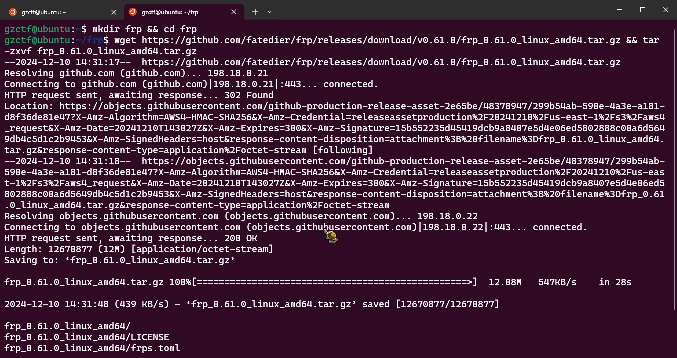 frp搭建记录 | the0n3