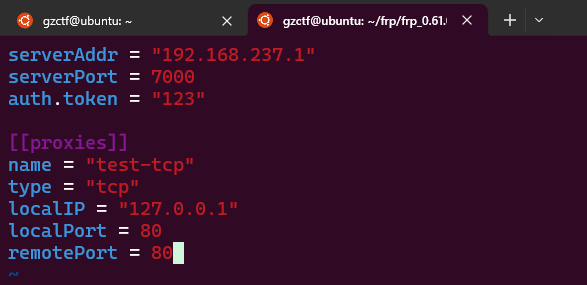 frp搭建记录 | the0n3