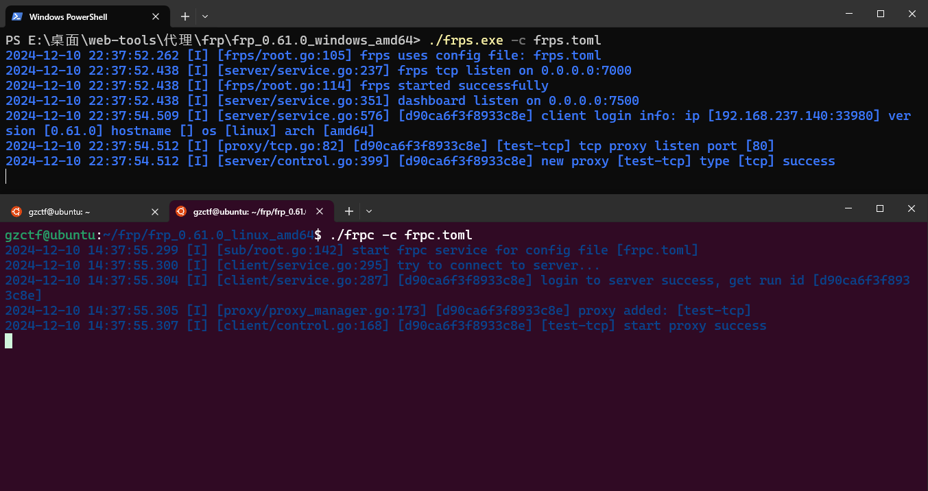frp搭建记录 | the0n3